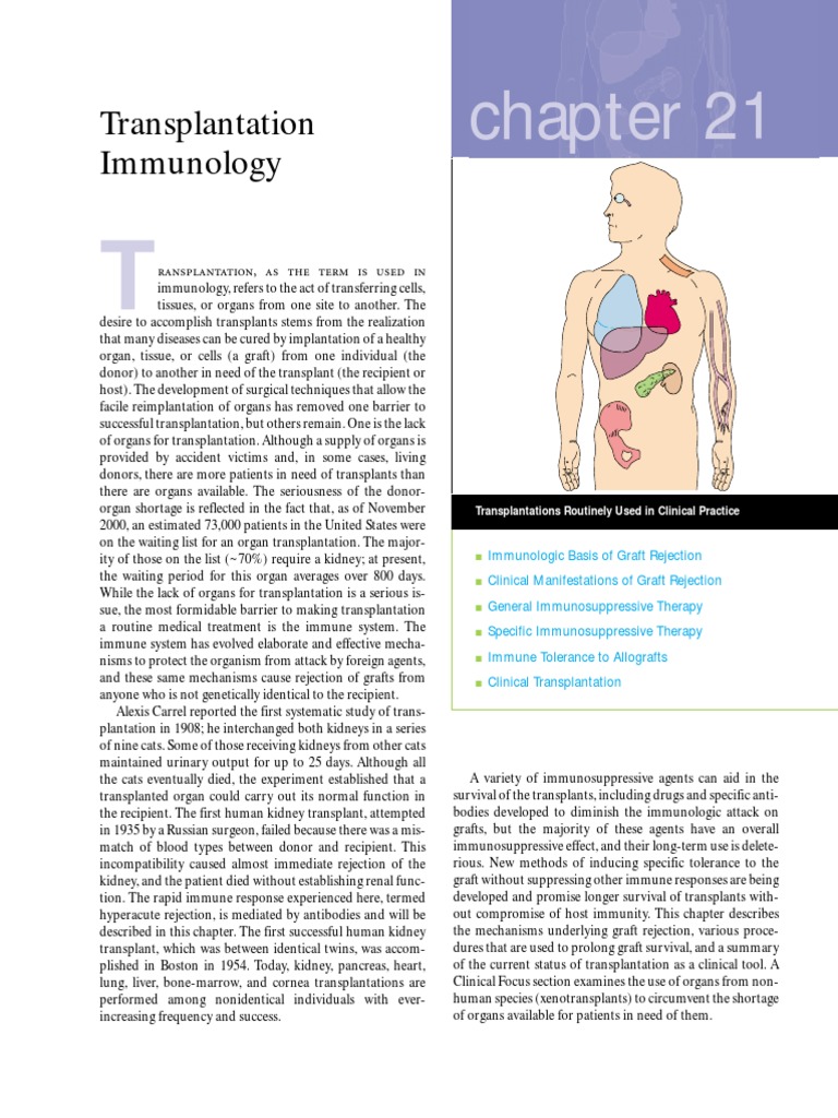 Kuby Immunology Transplantation | PDF | Transplant Rejection | Major Histocompatibility Complex