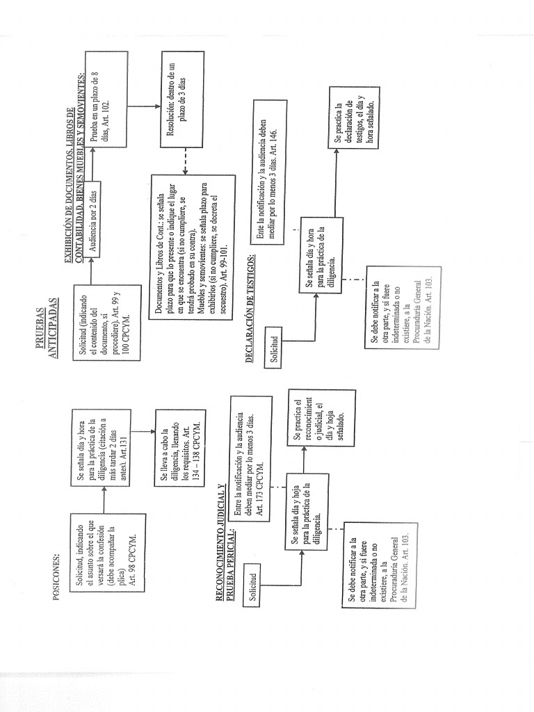 Esquema de Pruebas Anticipadas | PDF