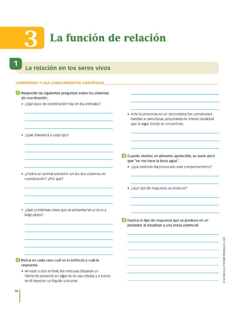 2do Año Funcion Relación | PDF