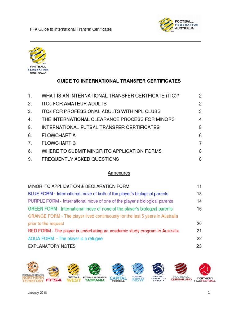 Guide To ITCs and Minor Applications (FINAL 2018) | PDF | Identity Document | Legal Guardian