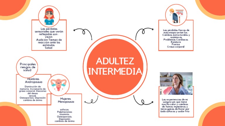 Adultez Intermedia | PDF