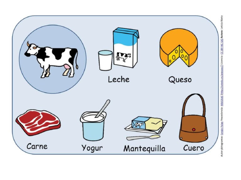 Derivados Vaca | PDF