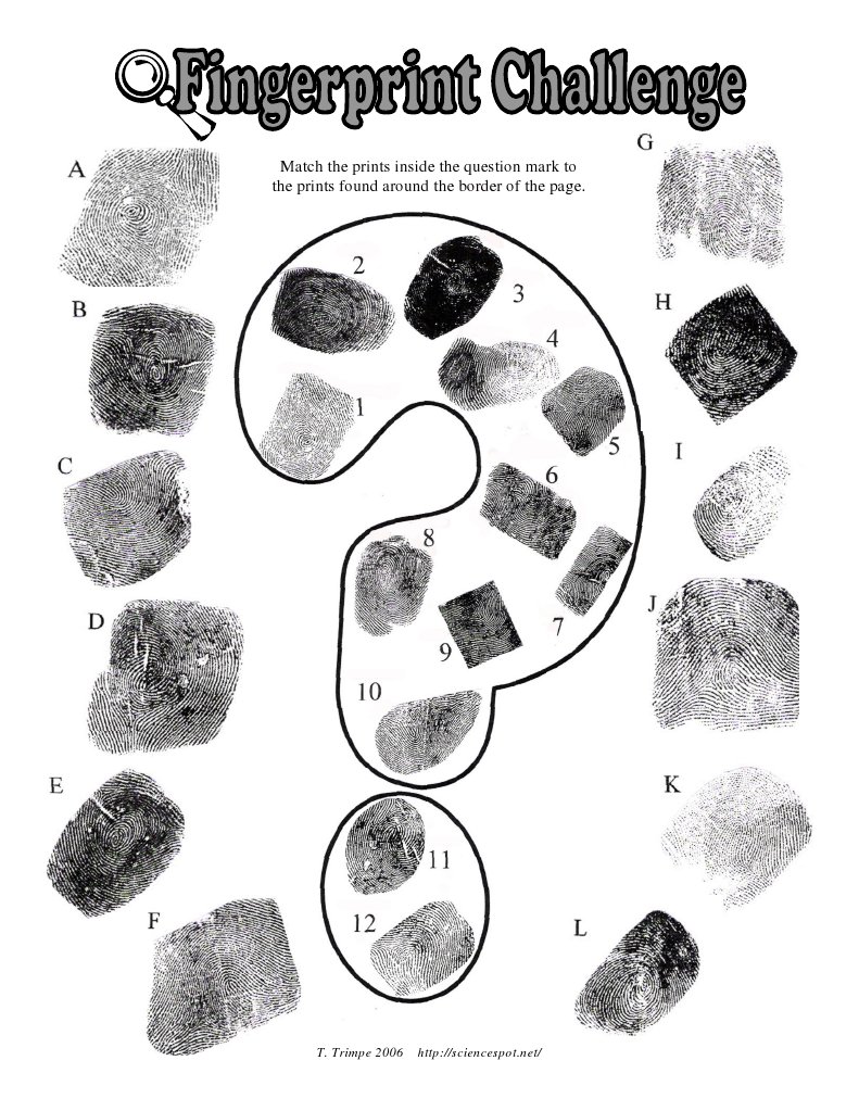 Unit 2 Fingerprint Challenge | PDF | Games & Activities | Language Arts ...