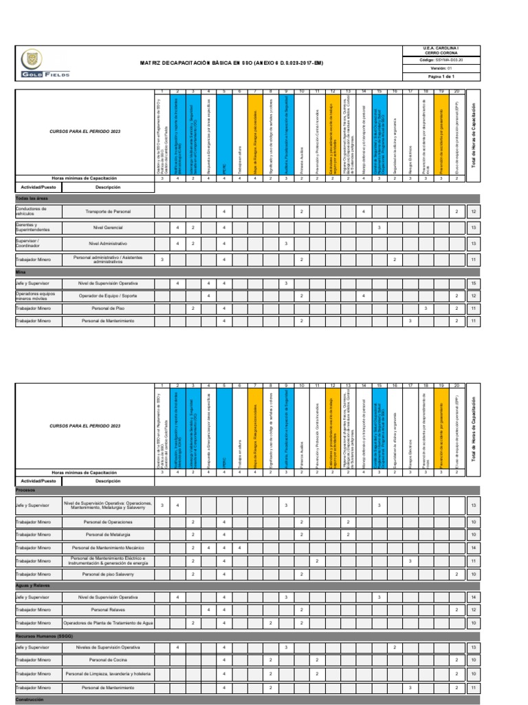 SSYMA D03.20 Matriz de Capacitacion Basica SSO 2023 V01 | PDF | Seguridad y salud ocupacional ...