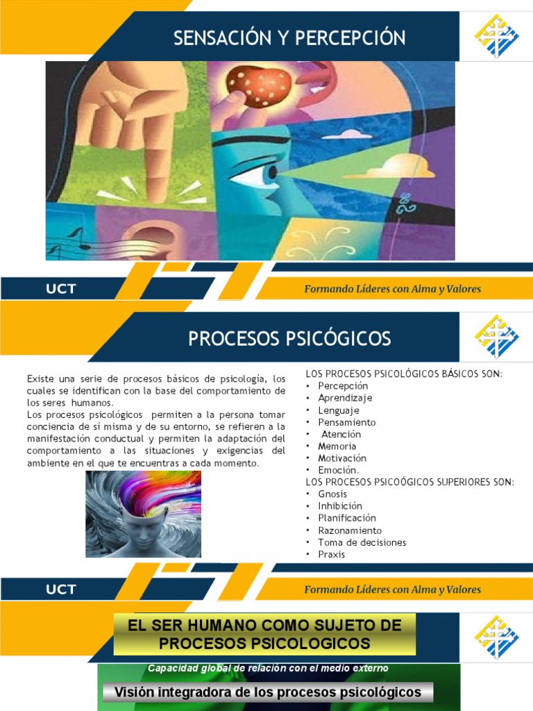 Procesos Psicológicos: Sensación y Percepción | PDF | Percepción | Sicología