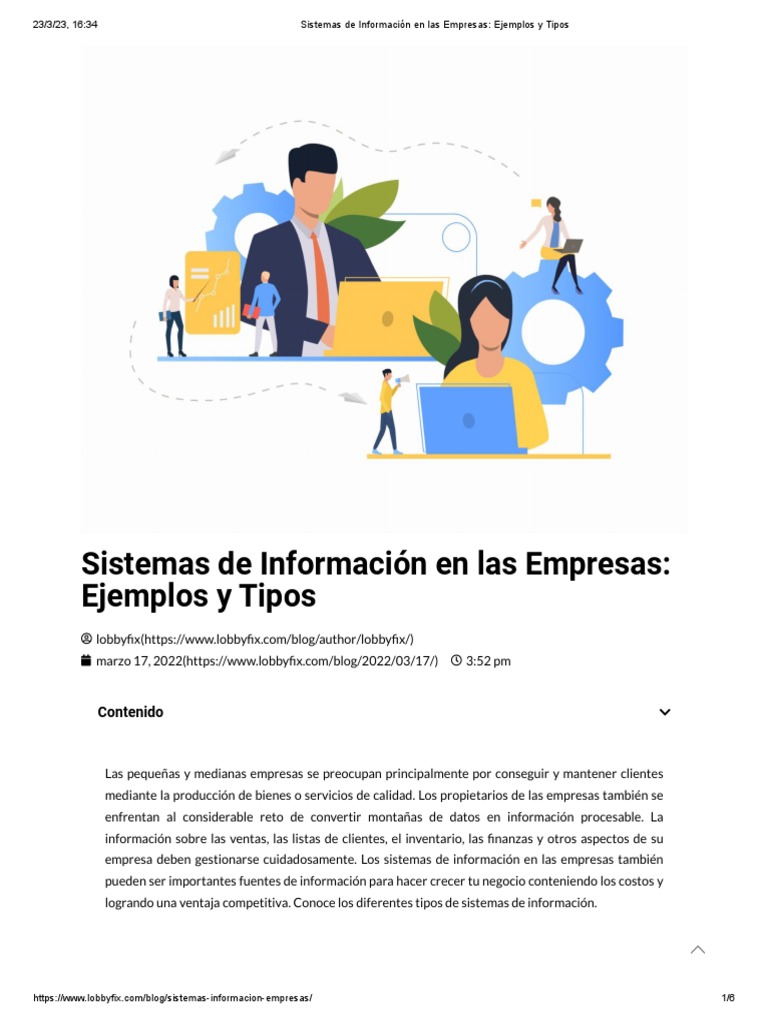 Sistemas de Información en Las Empresas - Ejemplos y Tipos | PDF | Sistema de informacion ...