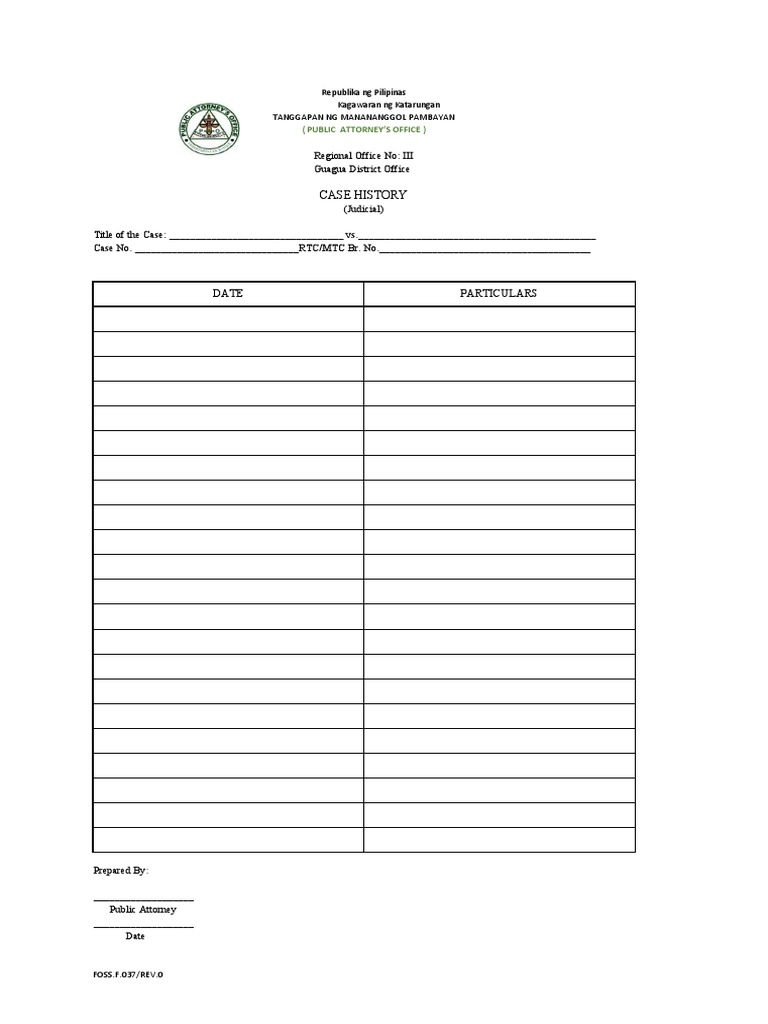PAO Case History Document Template | PDF