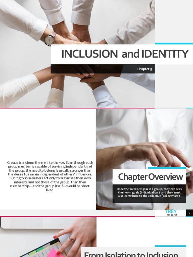 Dynamics of Inclusion and Identity | PDF | Identity (Social Science ...