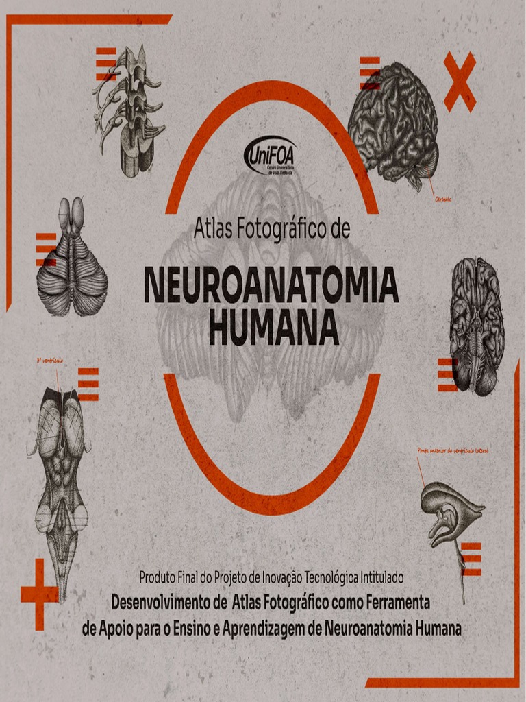 Atlas Fotografico de Neuroanatomia Humana | PDF