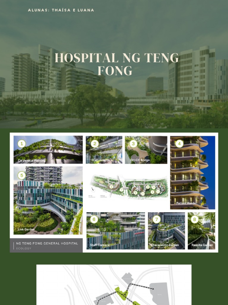 Hospital NG Teng Fong | PDF
