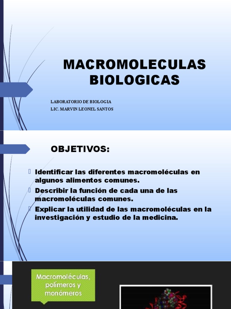 Macromoleculas Biologicas | PDF