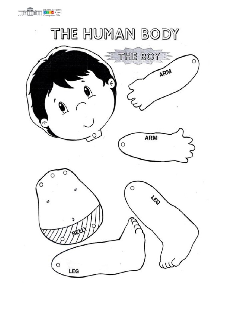 The Human Body Boy | PDF