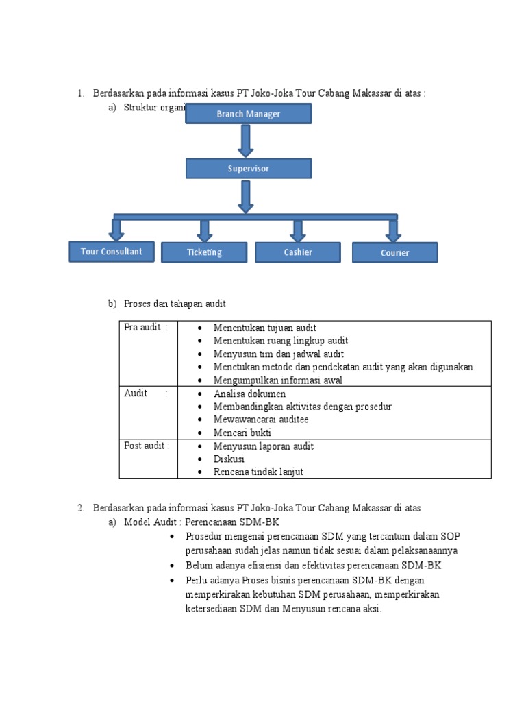 Audit Sdm Pdf