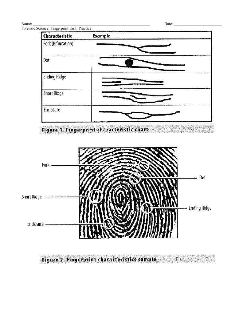 Fingerprint Analysis Practice Guide | PDF | Social Science