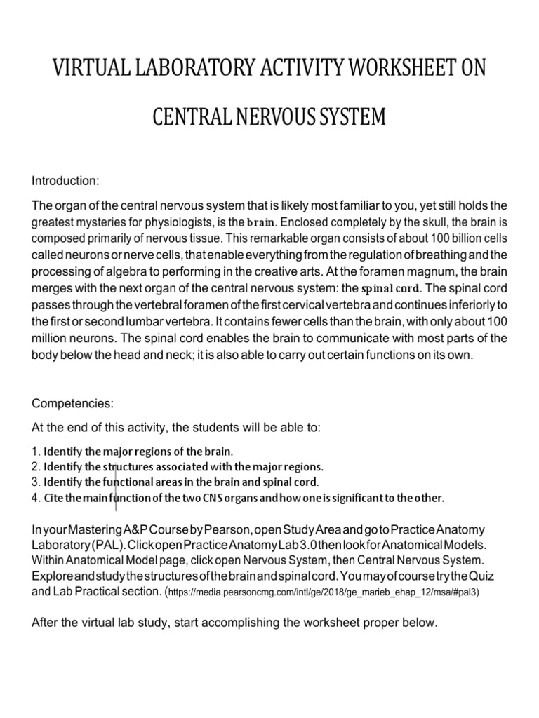 Virtual Laboratory Activity Worksheet On Central Nervous System | PDF ...