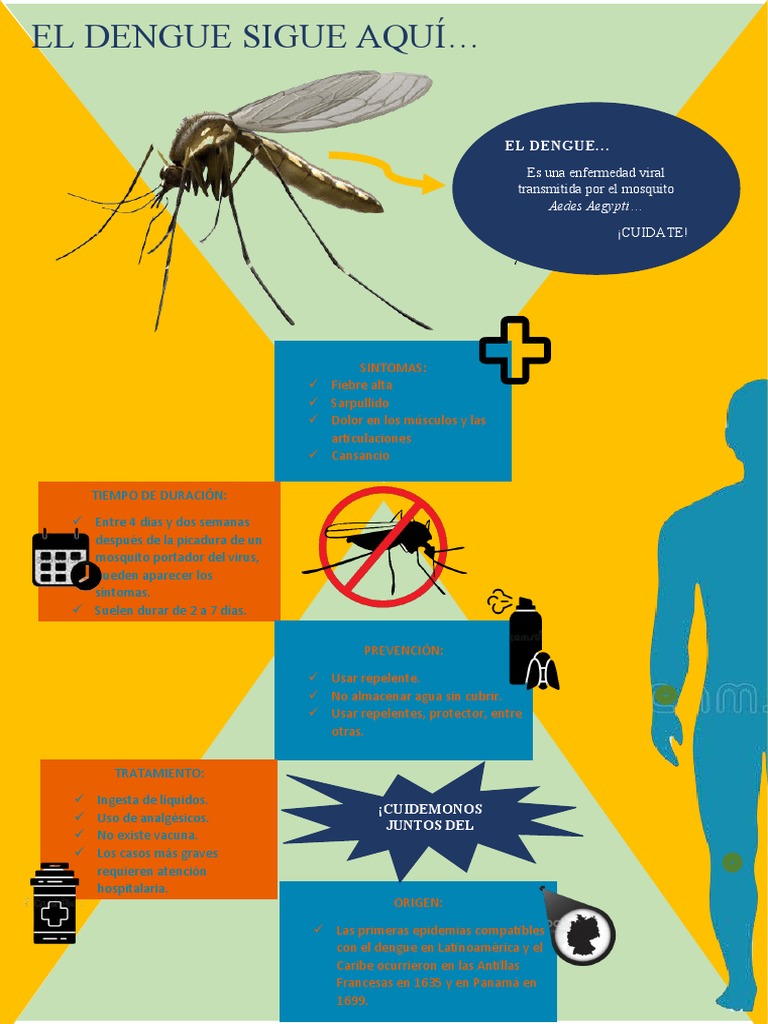 Infografía Del Dengue | PDF