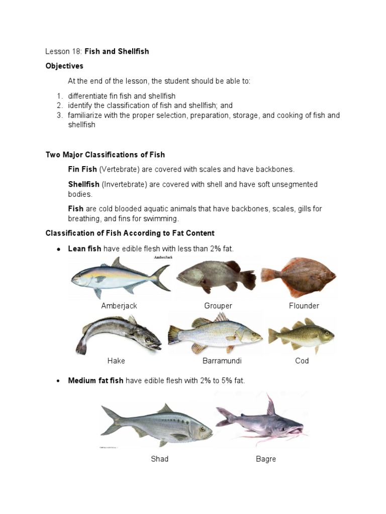 Lesson 18 - Fish and Shellfish | PDF | Shellfish | Bivalvia