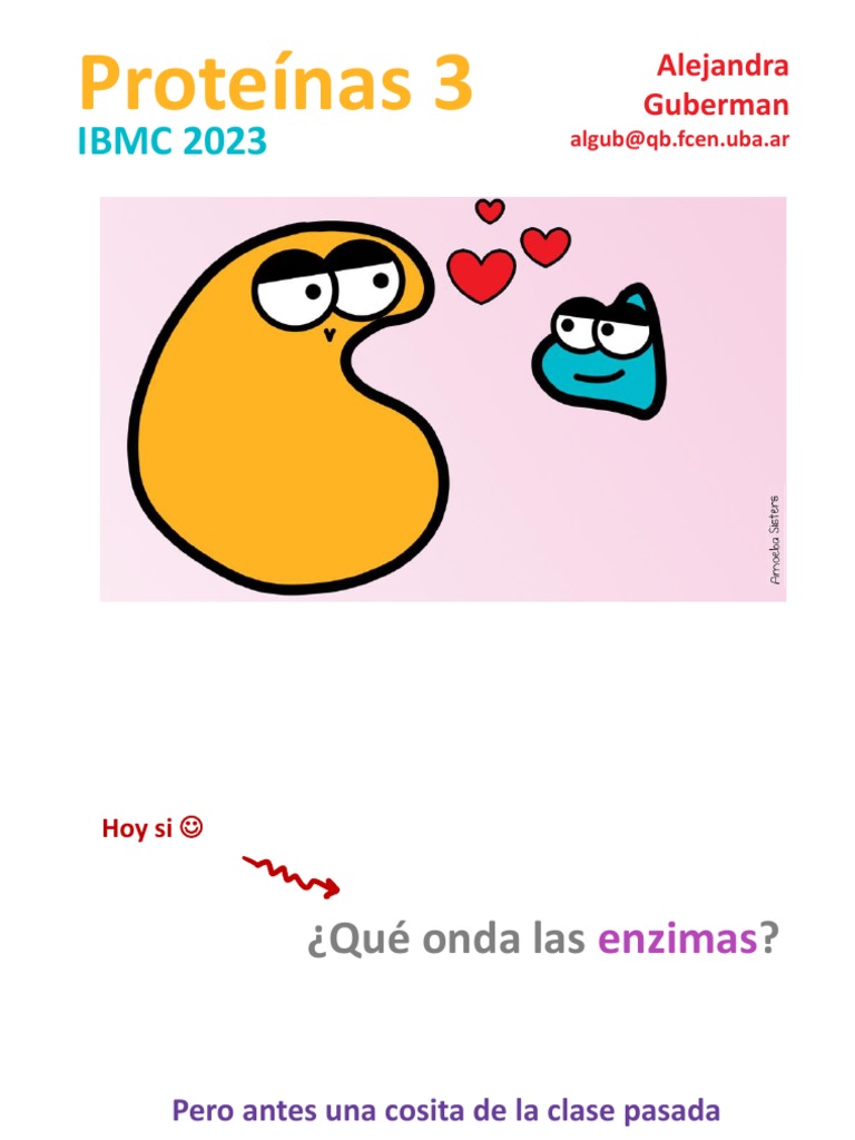 Proteínas - Clase 3 - Alejandra Guberman IBMC 2023 | PDF | Enzima | La ...