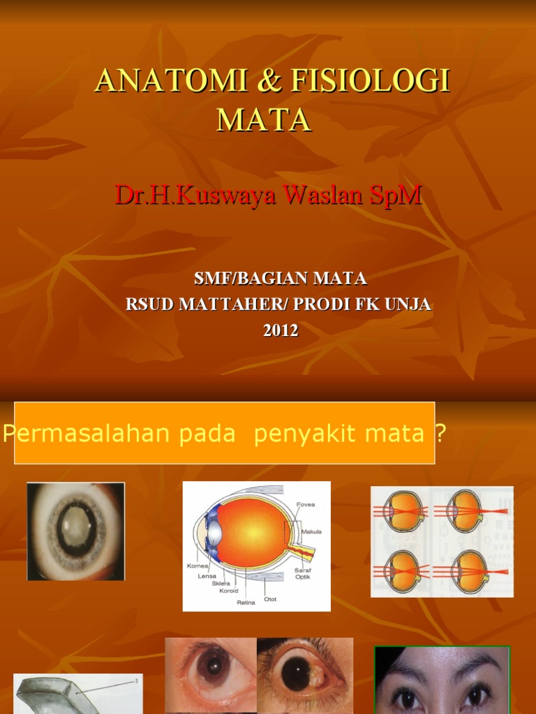 Anatomi Mata | PDF | Sains & Matematika