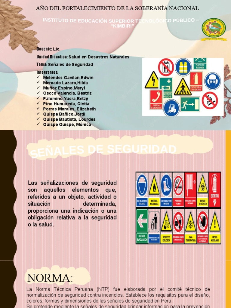 Señales D Seguridad | PDF