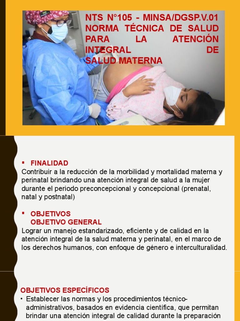 Salud Materna | PDF | Bienestar