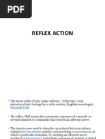 Fish Nares: Smell Mechanism Explained | PDF | Olfaction | Fish