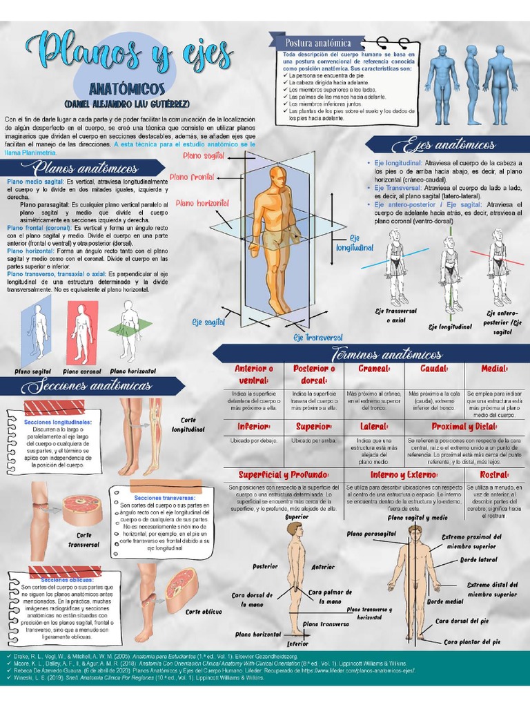 02 MT II Plano-Eje-Movimiento | PDF