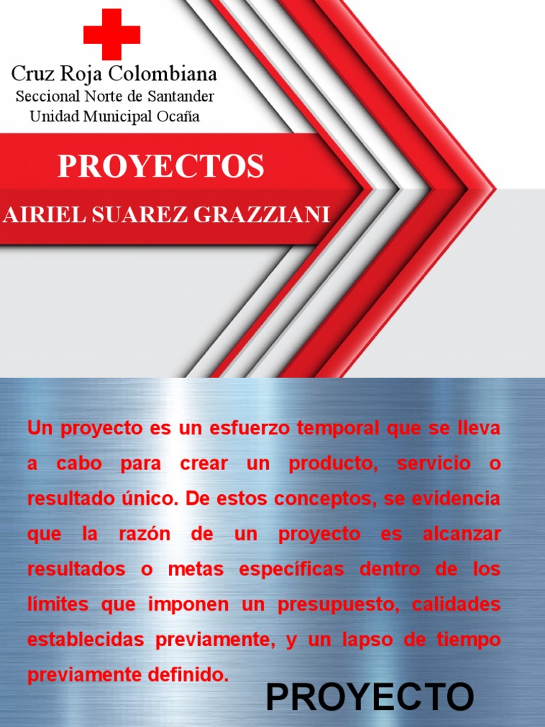 Presentacion Proyectos | PDF | Organización no gubernamental ...