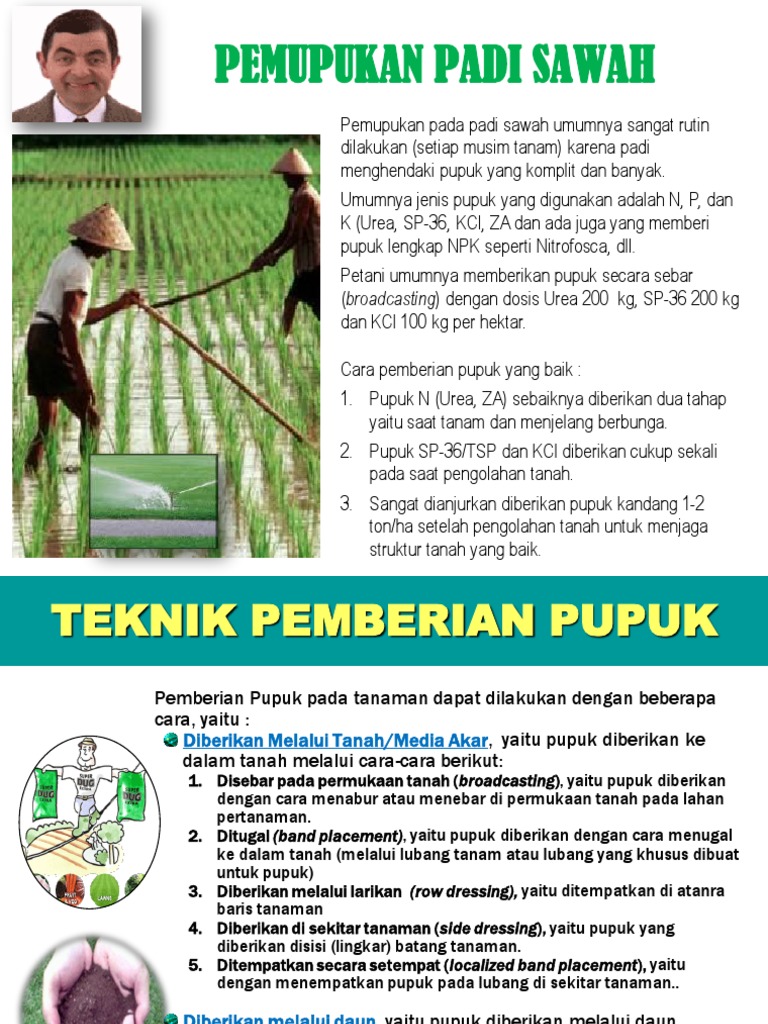 Aplikasi Pupuk | PDF