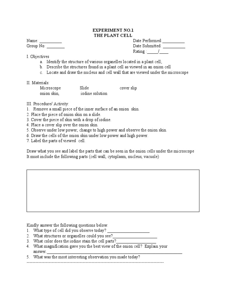 Plant Cell Structure Observation Lab | PDF