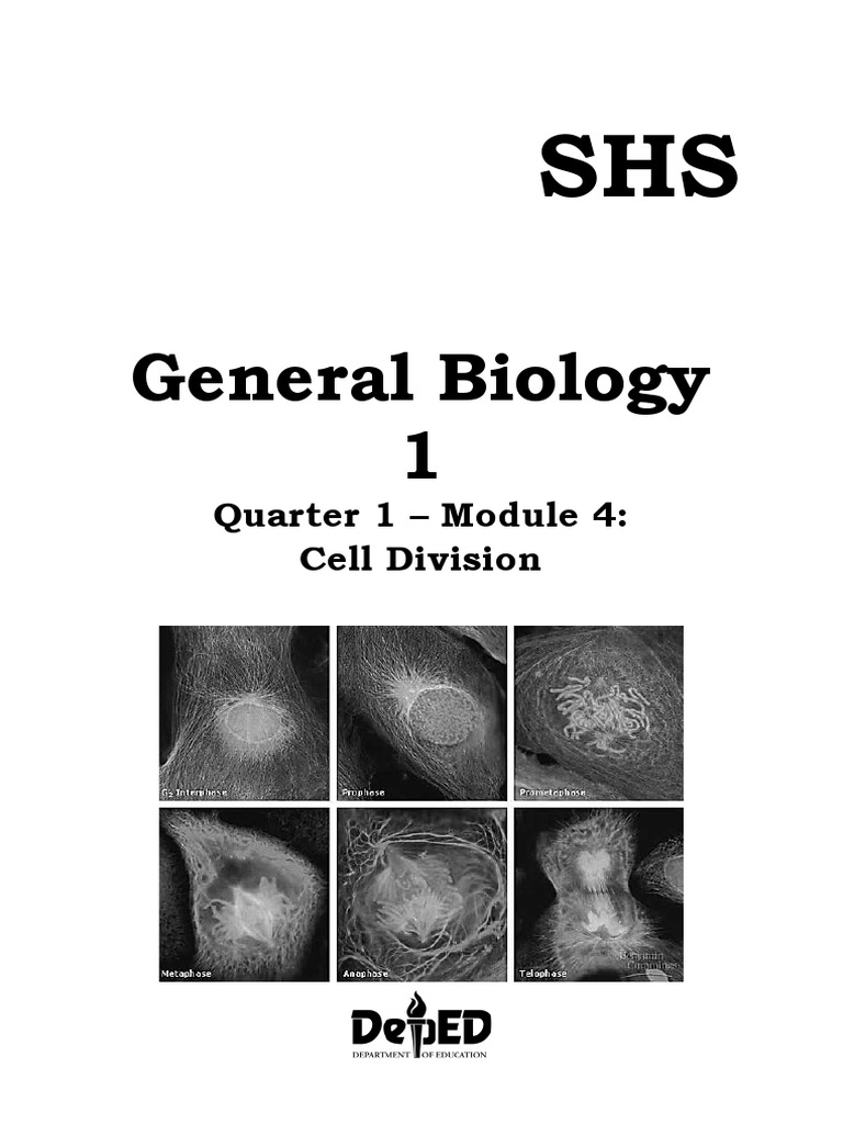 Gen.-Bio-1-Q-1_Week-4-module-4 | PDF | Meiosis | Mitosis