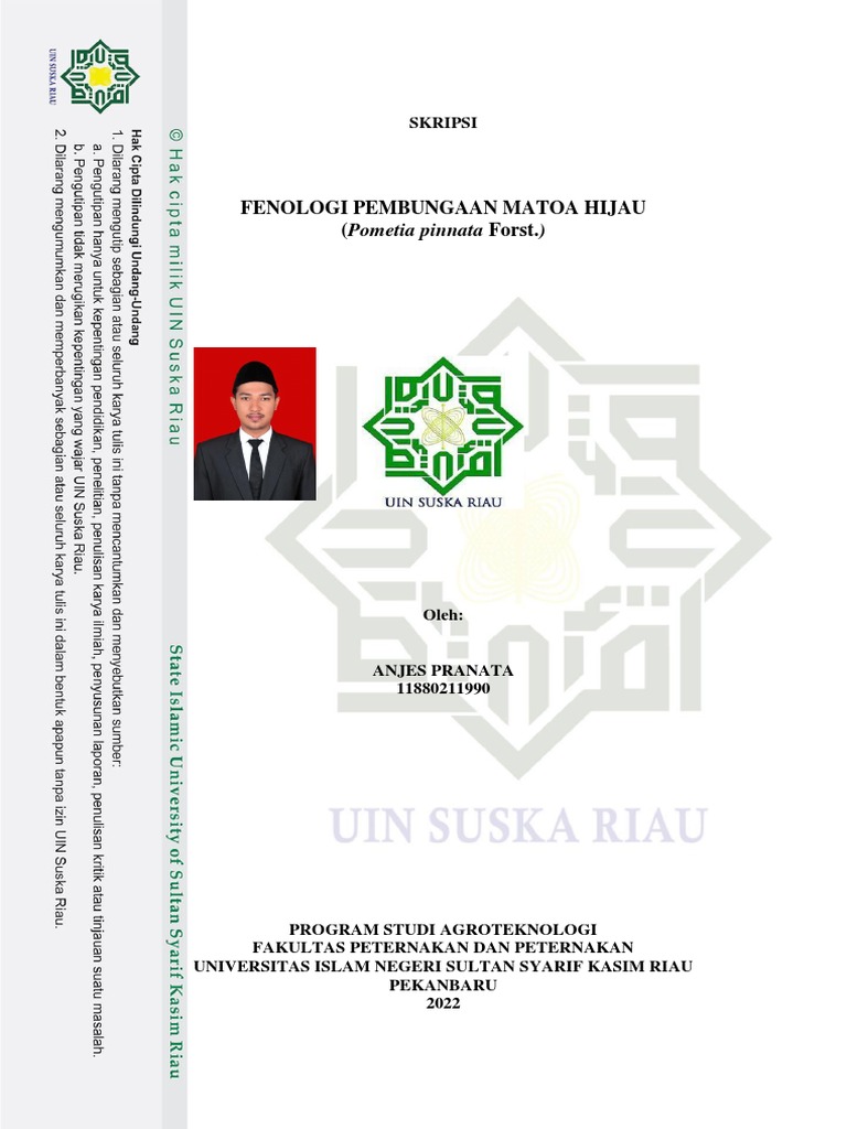Karakterisasi Morfologi Tanaman Matoa | PDF