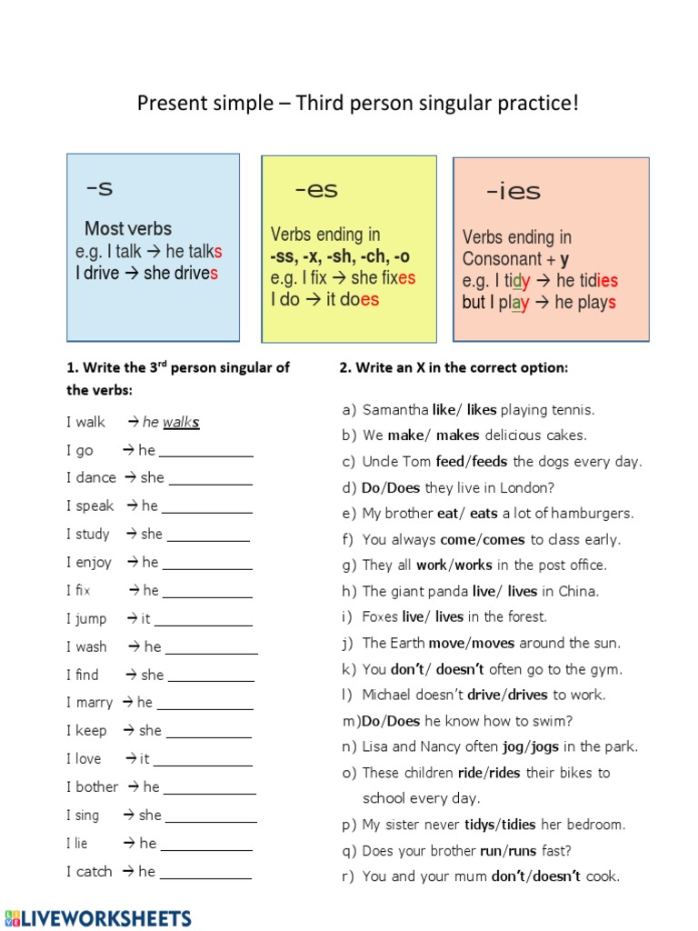 Third Person Singular Verb Exercises | PDF