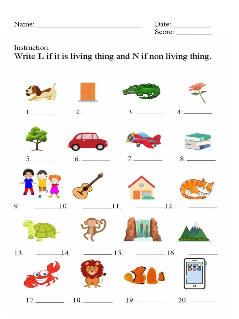 Living vs Non-Living Quiz | PDF