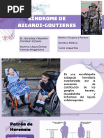 Amelia Meromelia Pie Equino Varo Grupo #2 M1-01 | PDF | Pie | El embarazo