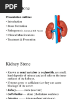 Renal Concept Map | PDF | Kidney | Urological Conditions