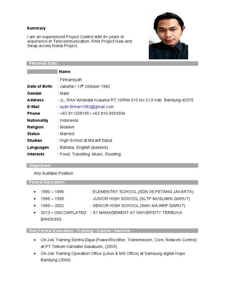 Curriculum Vitae | Download Free PDF | Project Management | Computer ...