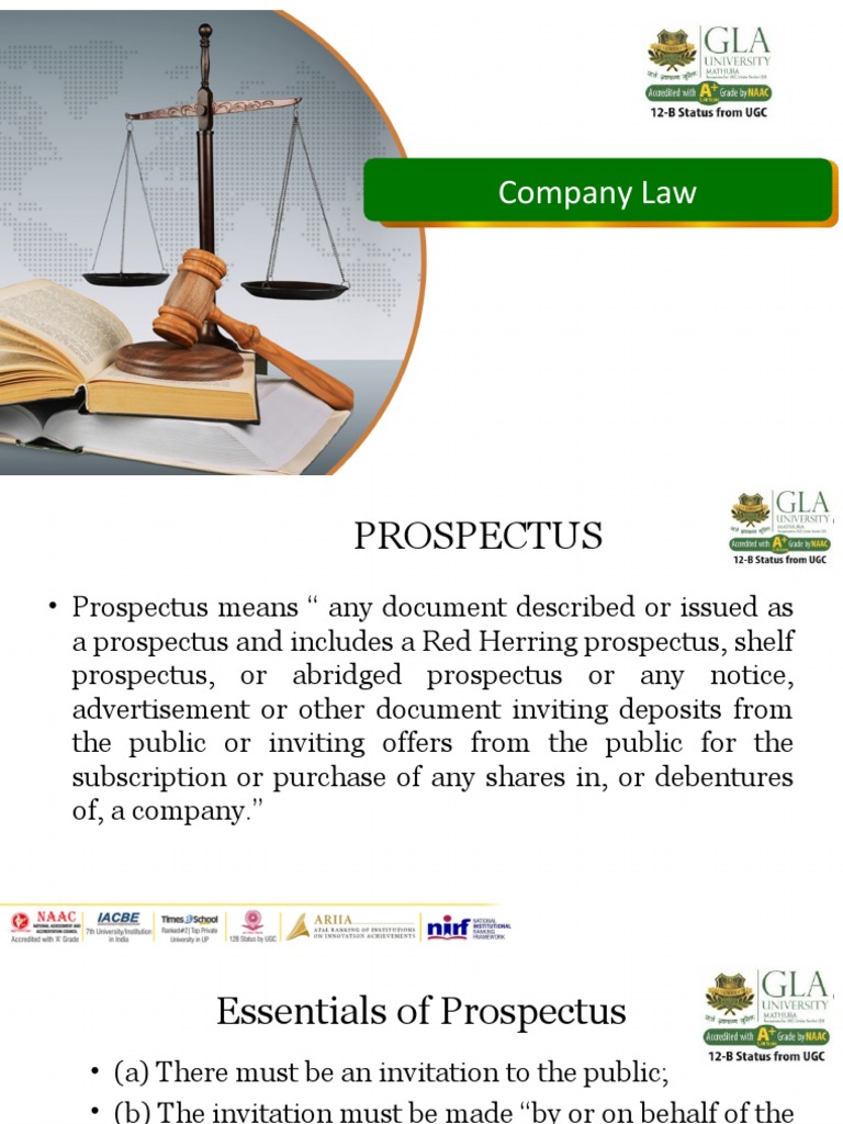 Essentials of Company Prospectus | PDF | Finance & Money Management | Law