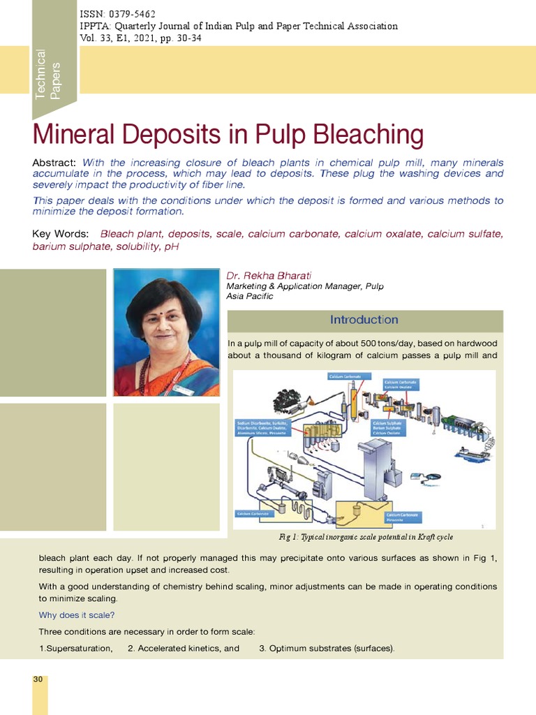 E1 2021 Paper4 | PDF | Calcium | Pulp (Paper)