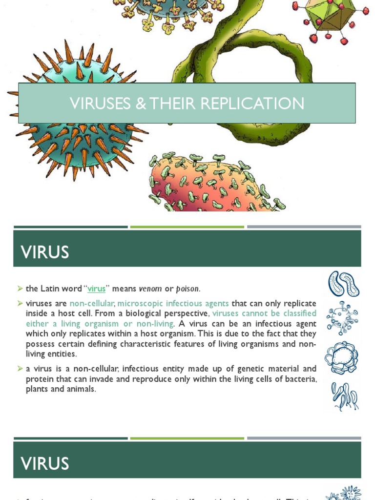 Viruses Their Replication | PDF | Virus | Cell (Biology)