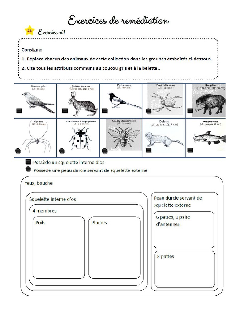 Chap1 Activité 6 Exercices | PDF