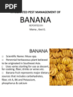 Pigeon Genetics: Answer Key | PDF | Dominance (Genetics) | Genotype