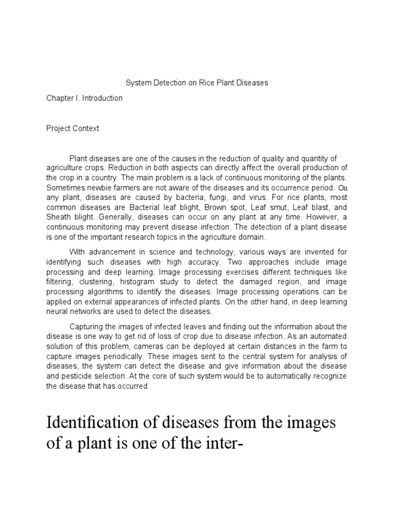 Rice Detection System Pdf