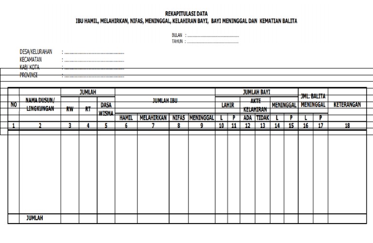 Rekapitulasi Data Ibu Hamil, Melahirkan | PDF