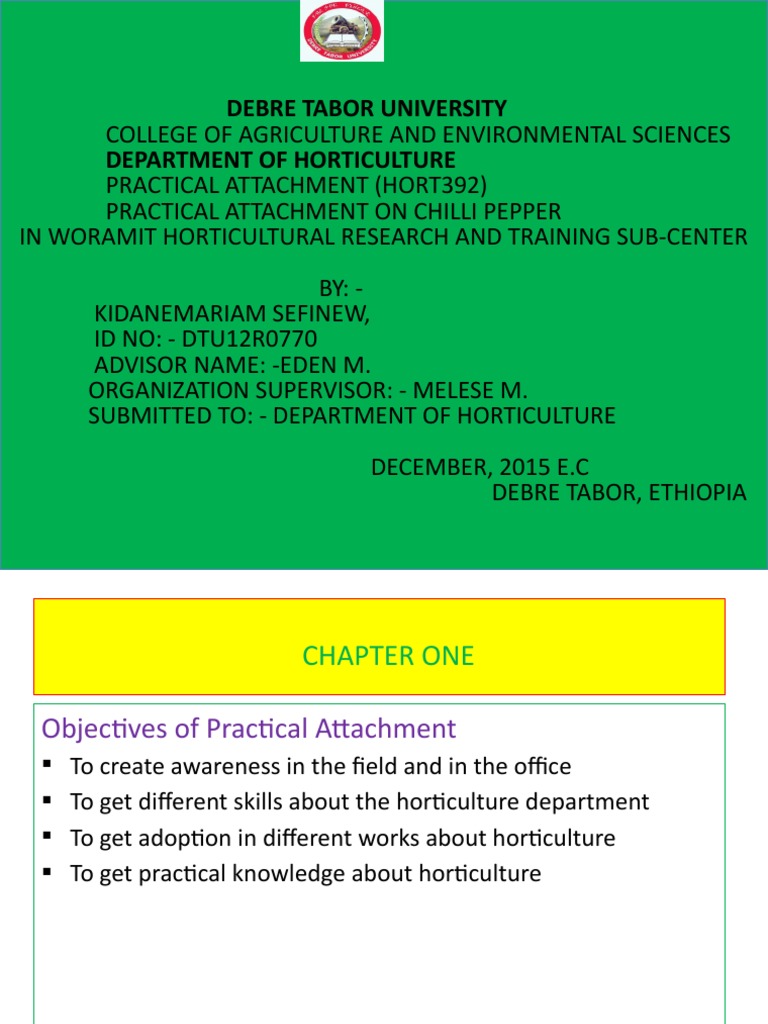Debre Tabor University | PDF | Chili Pepper | Food Industry