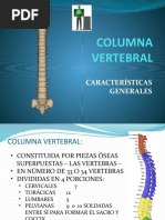 Columna Vertebral Posiciones Radiologicas | PDF | La columna vertebral ...