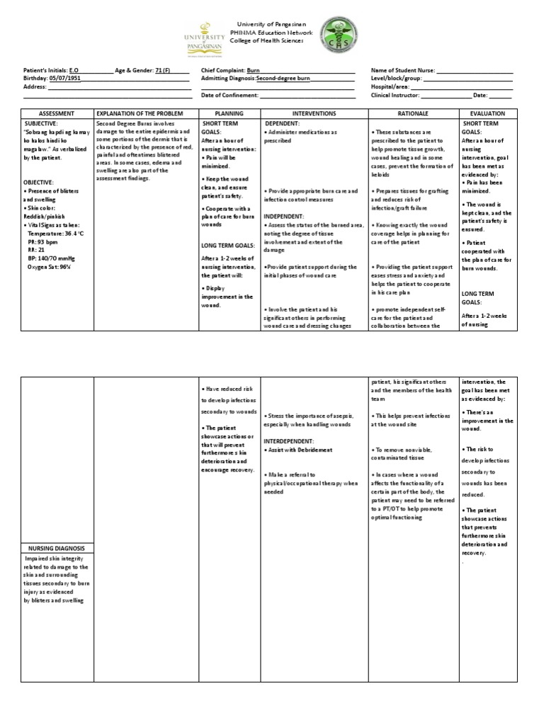 Burn NCP | PDF | Wound | Burn