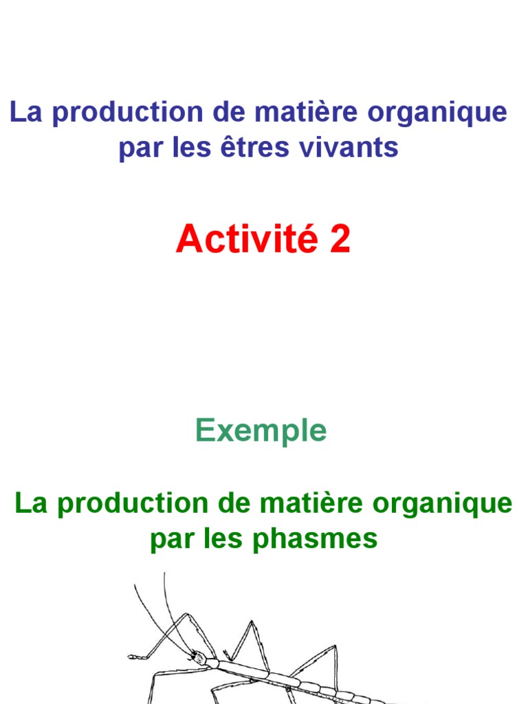 6 ch6 3 - Phasme | PDF