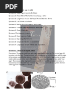 Bio 101 2019 With Answers | PDF | Cell (Biology) | Nature