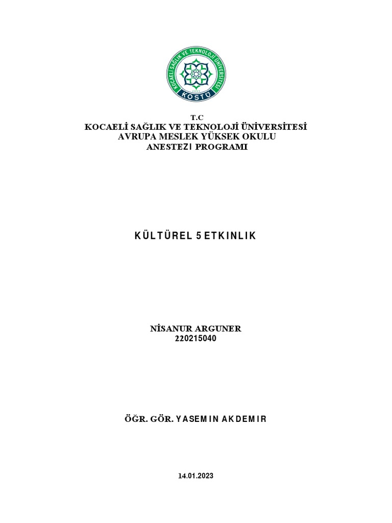 Ornek Odev Kapak Dosyasi | PDF